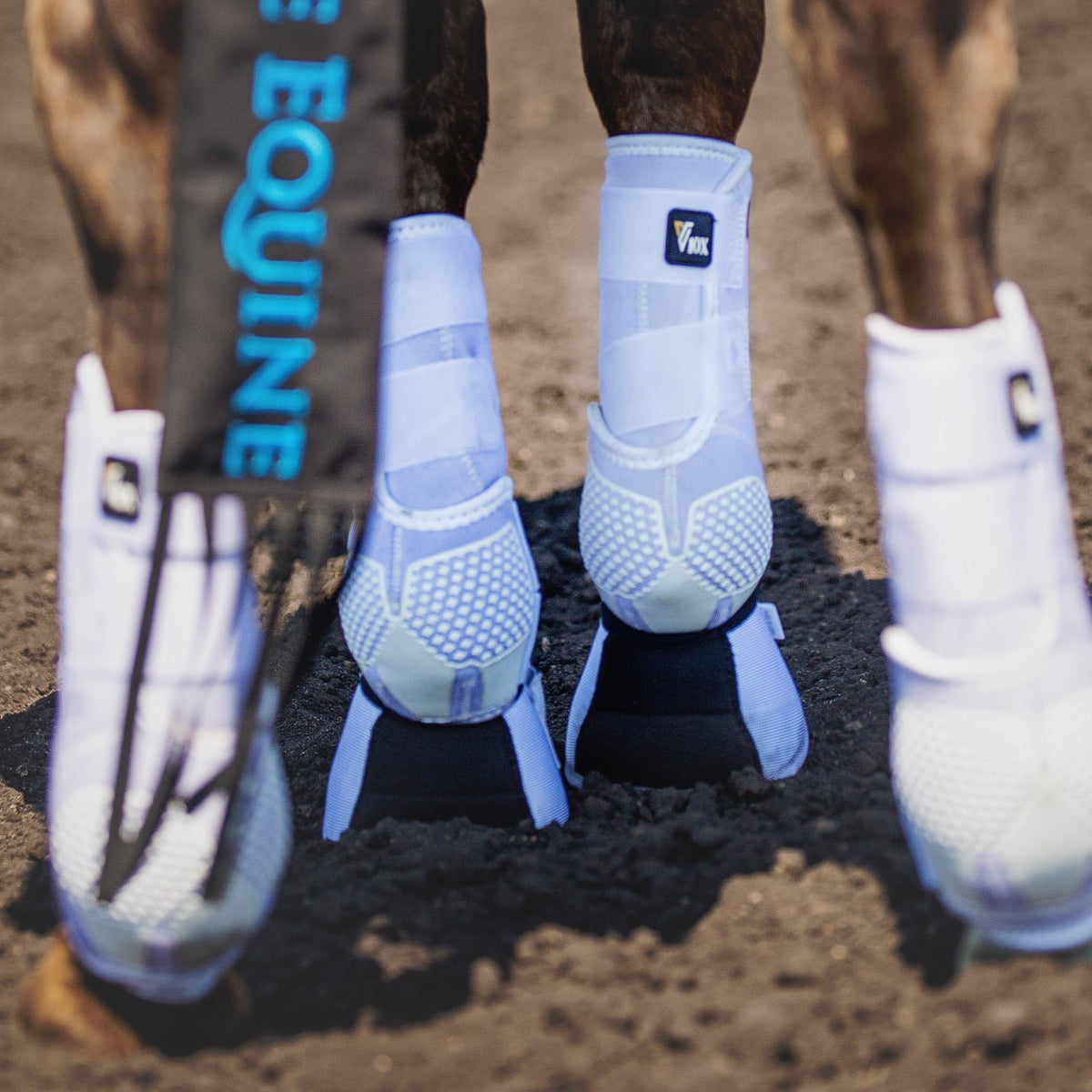 V20x HIND Sport Protective Boot – Alliance Equine