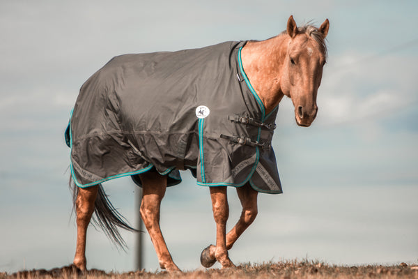LUX Rain Sheet – Alliance Equine