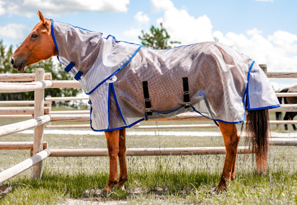 Buzz Off Fly Sheet – Alliance Equine